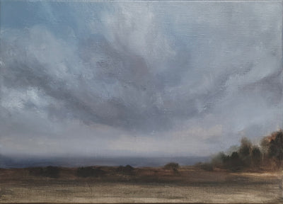 Penny Ruthberg – The Toowoomba Gallery