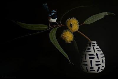 Penny Ruthberg – The Toowoomba Gallery