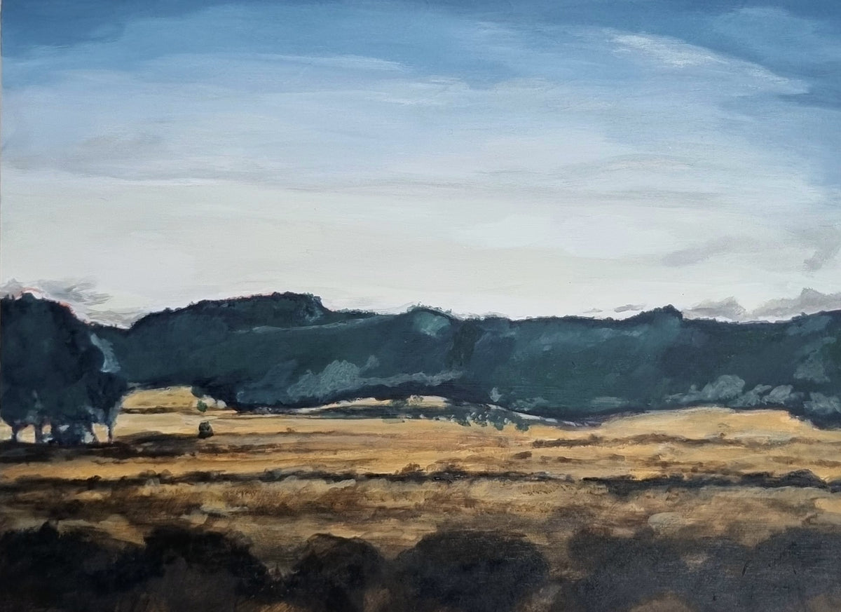 Rachel Prince - View from Moving Car – The Toowoomba Gallery