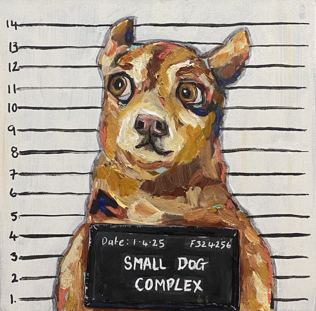 Karen Gray - Small Dog Complex – The Toowoomba Gallery