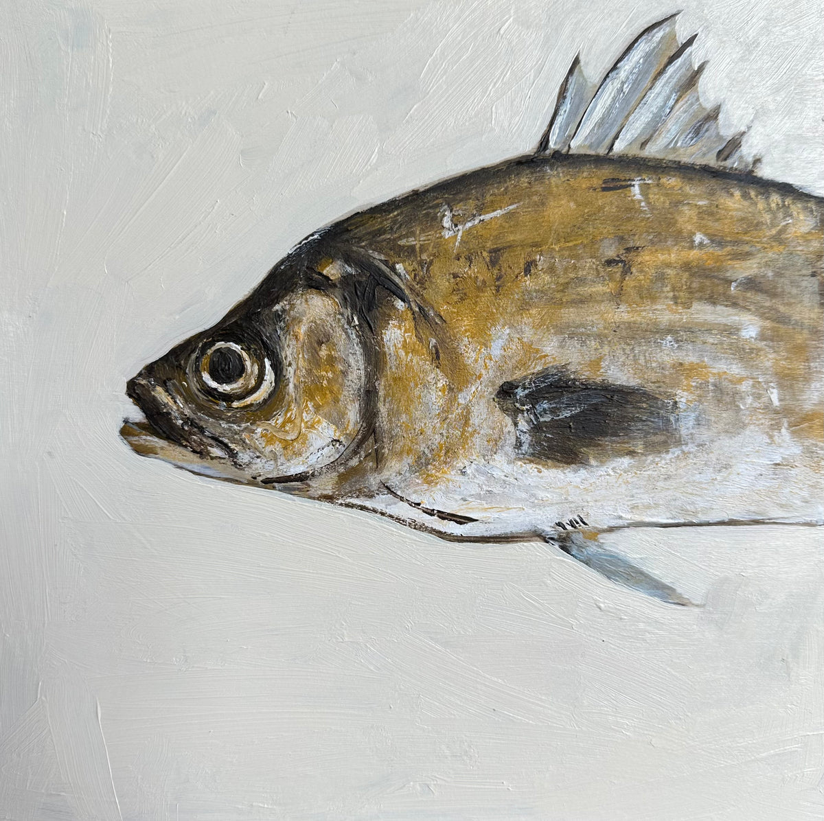 Ingrid Haughton - Fish I – The Toowoomba Gallery