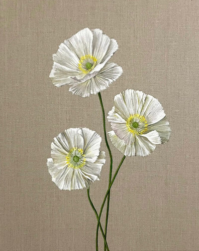 Penny Ruthberg – The Toowoomba Gallery