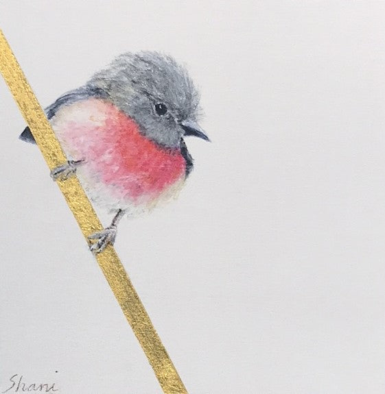 Shani White - Rose Robin – The Toowoomba Gallery