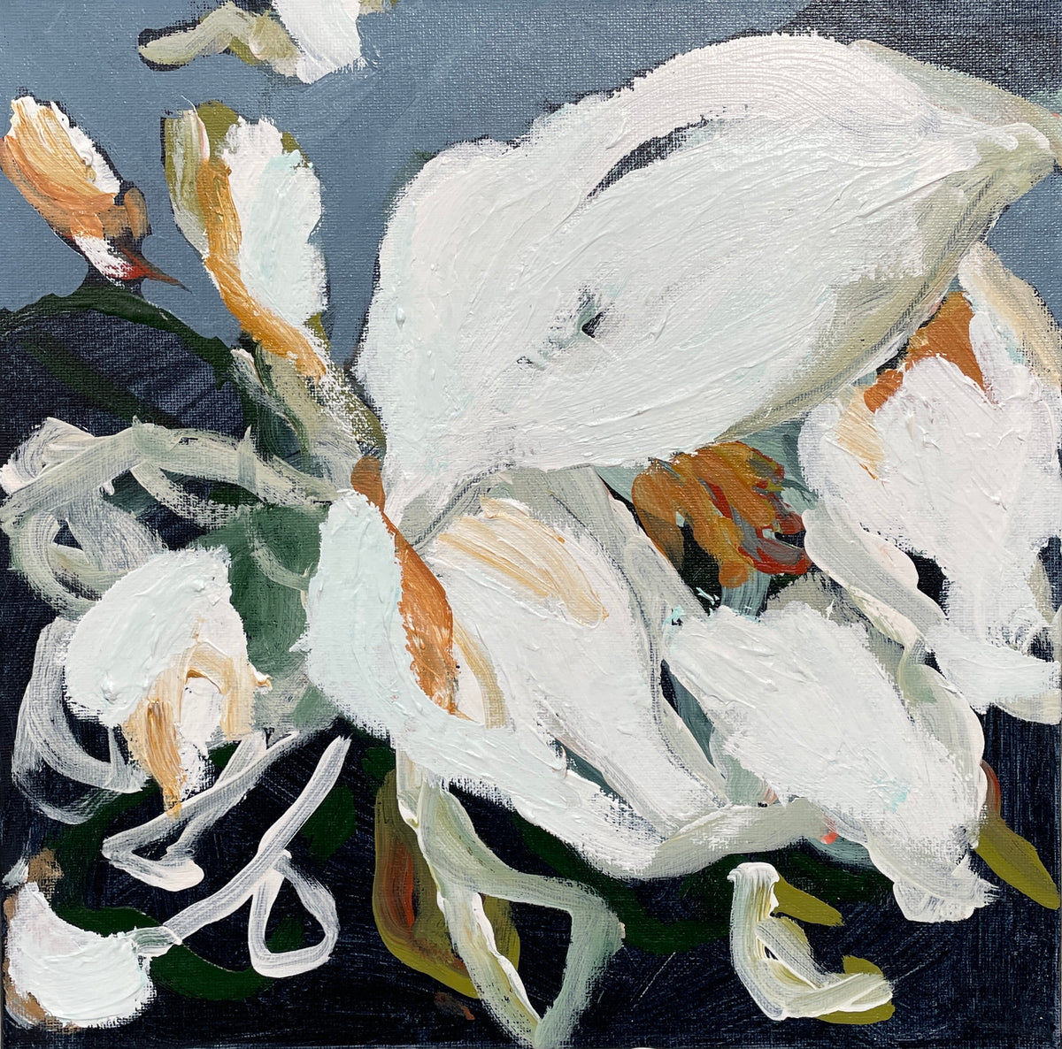 Prue Frost - Charming – The Toowoomba Gallery